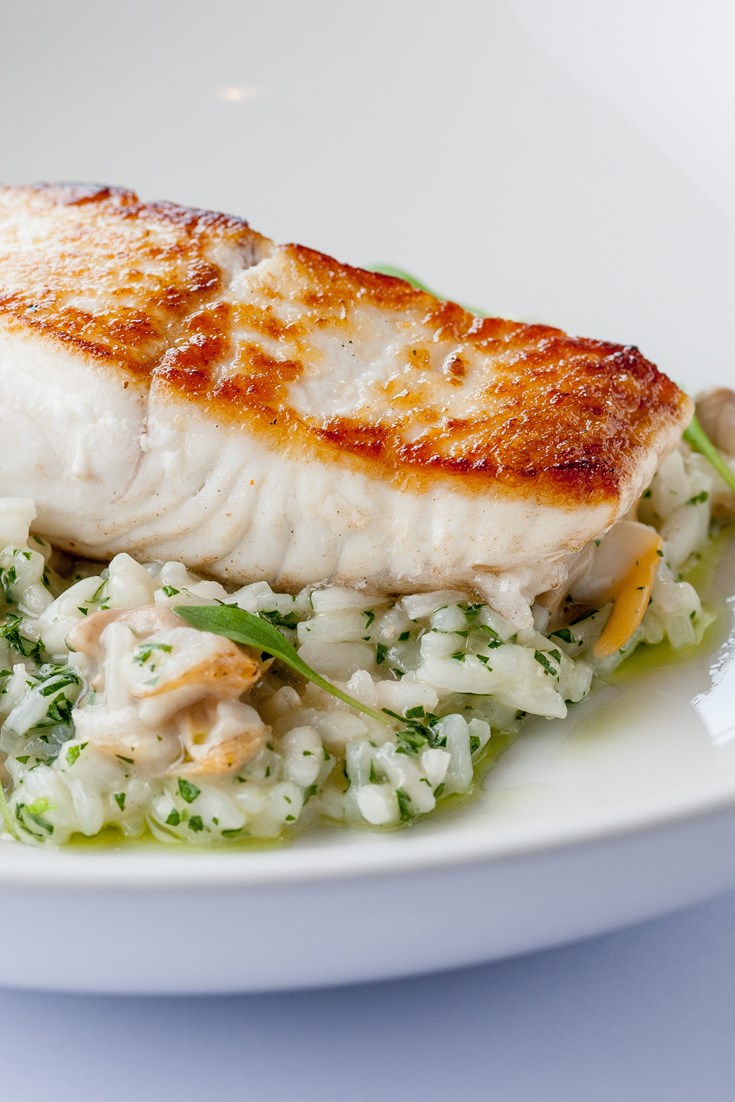Halibut with Risotto Recipe - Great British Chefs