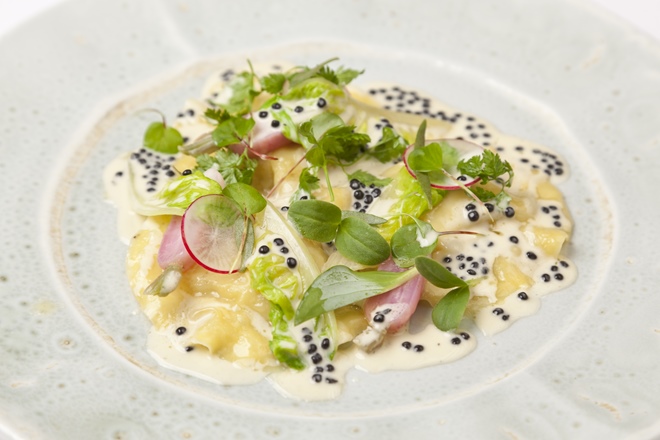 Sea Bass Fillet Carpaccio With Chilli, Oregano - Great British Chefs