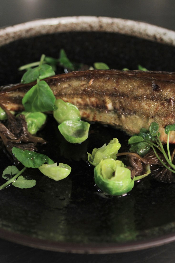 Roast Gurnard Recipe - Great British Chefs