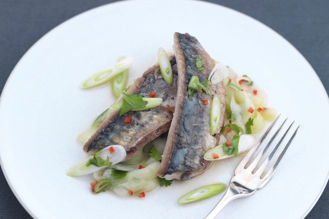 Easy Mackerel Recipes - Great British Chefs