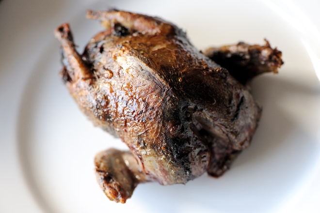 Pigeon Recipes: Squab Pigeon, Wood Pigeon - Great British Chefs