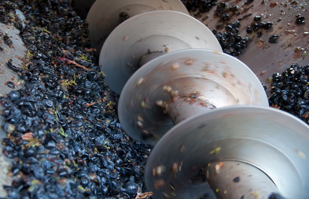 The best wines in Tuscany - Great Italian Chefs