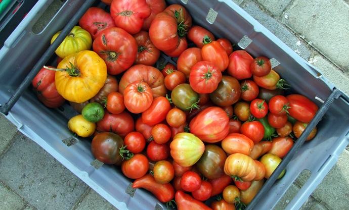 The complete foodie guide to Tuscany - Great Italian Chefs