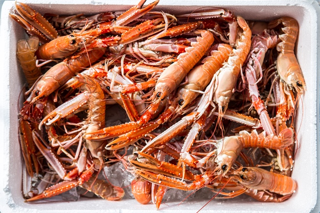 How to Cook Langoustine - Great British Chefs