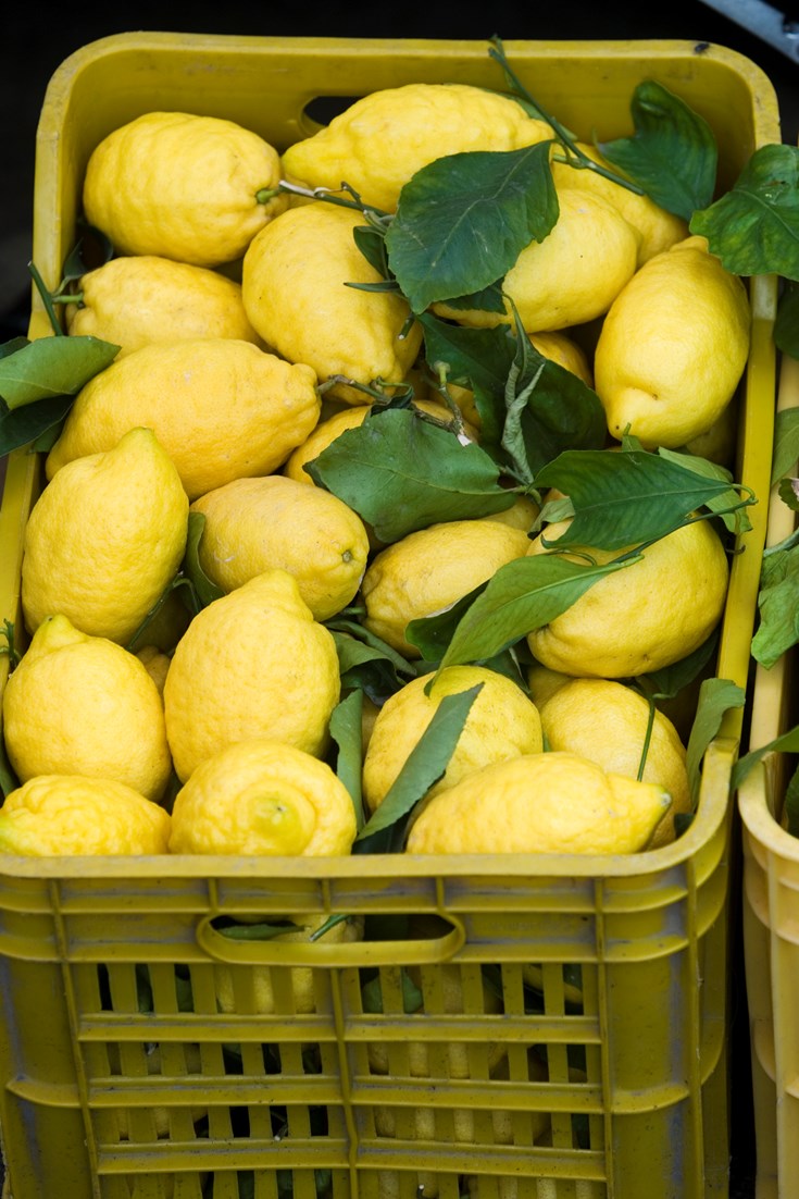 Lemon Recipes - Great Italian Chefs