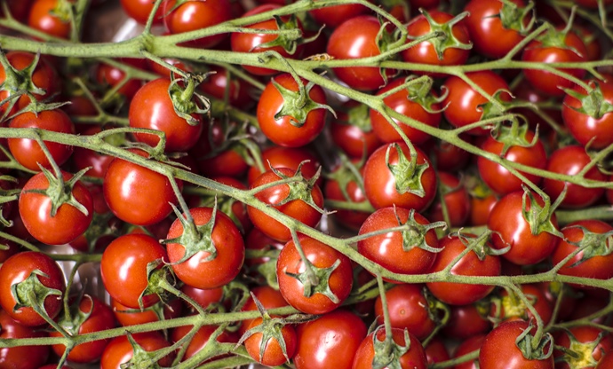 Exploring Italian Vegetables - Great Italian Chefs