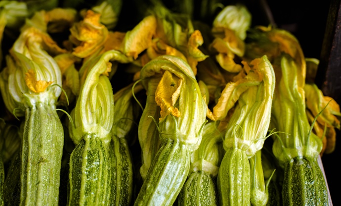 Exploring Italian Vegetables - Great Italian Chefs