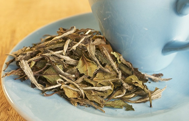 White Tea Demystified - Great British Chefs