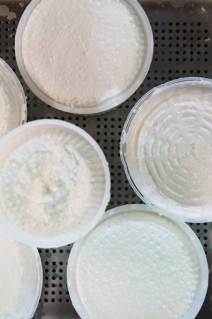 Five of our Favourite Ricotta Recipes - Great Italian Chefs