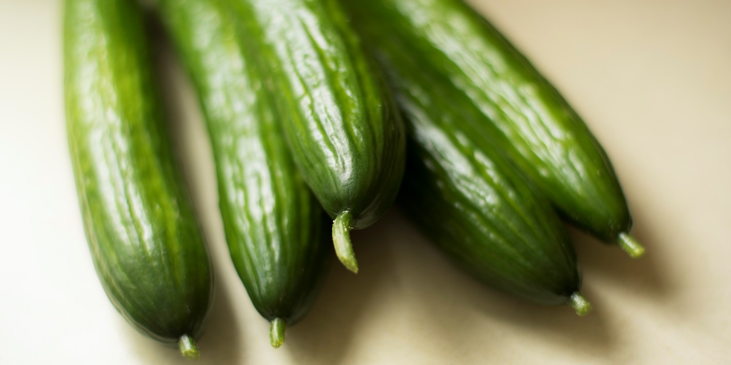 Cucumber Recipe Inspiration - Great British Chefs