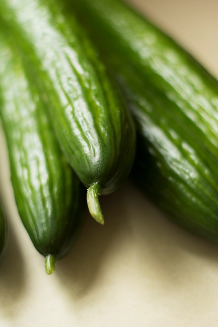 Cucumber Recipe Inspiration - Great British Chefs