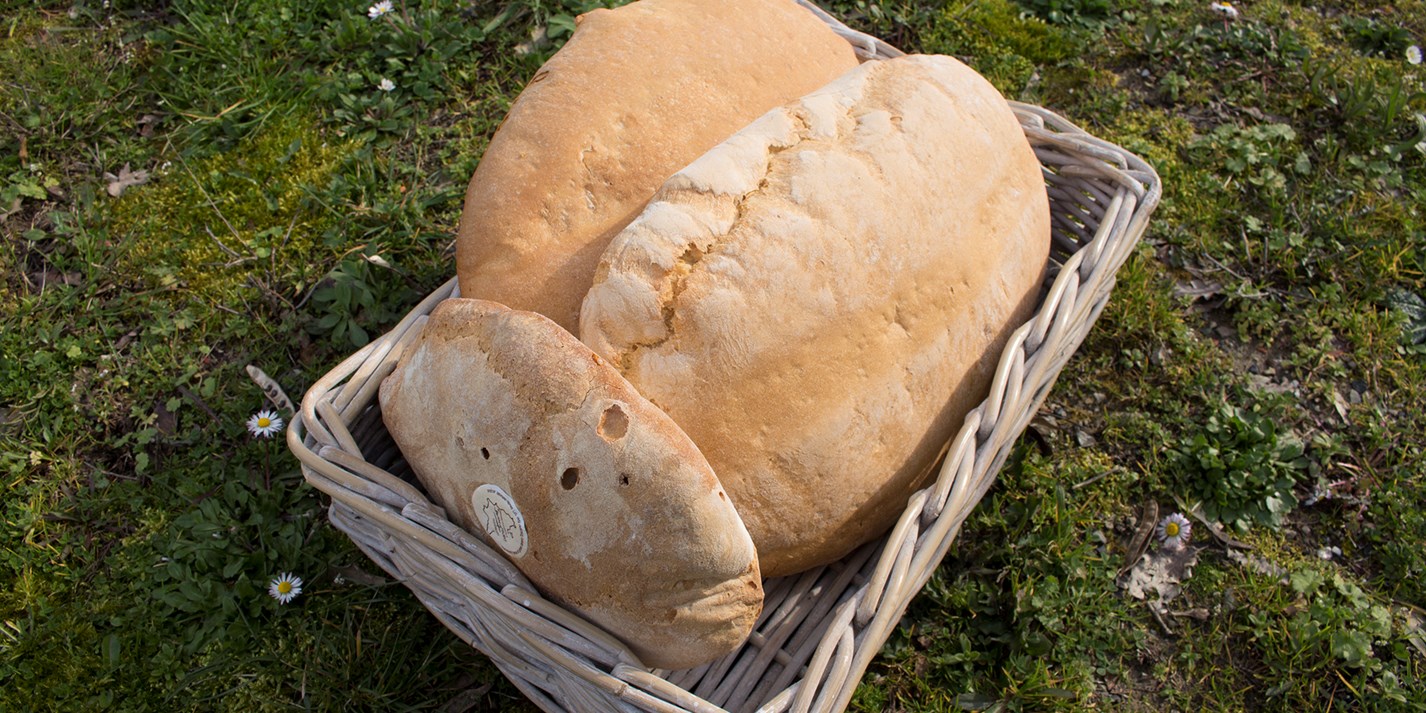 Pane Sciocco: Tuscany’s Bread - Great Italian Chefs