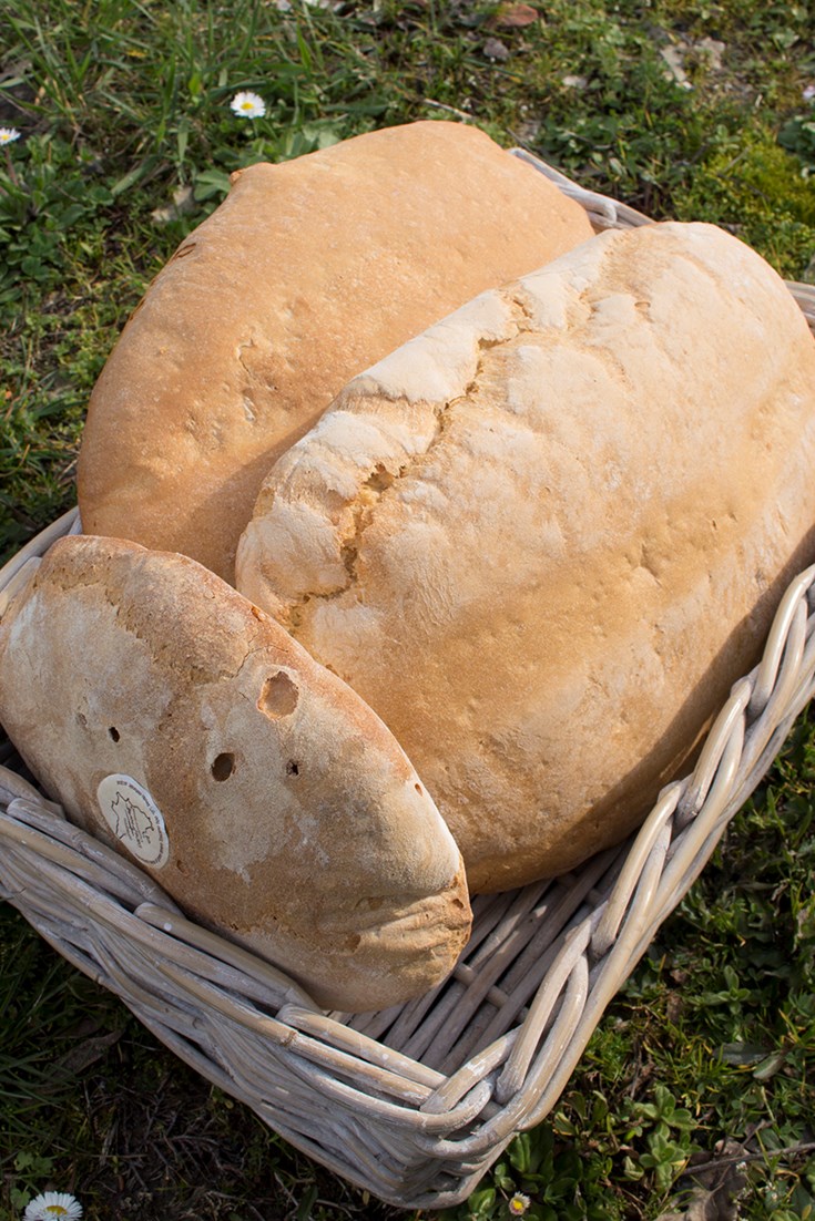 Pane Sciocco: Tuscany’s Bread - Great Italian Chefs