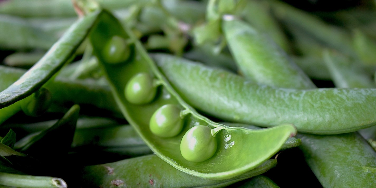 8 Of Our Best Pea Recipes - Great British Chefs