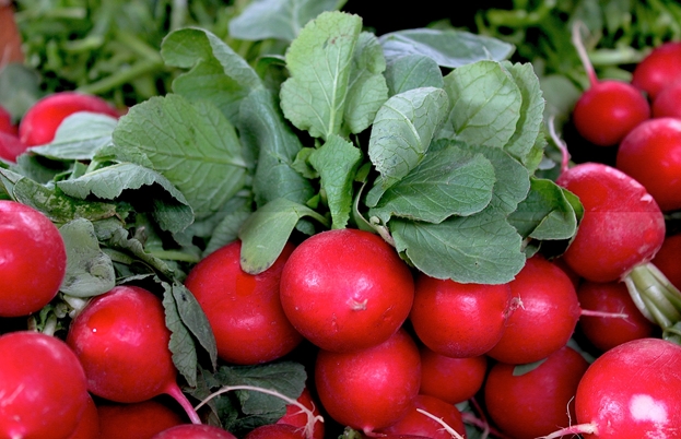 Italian Spring Recipes - Great Italian Chefs