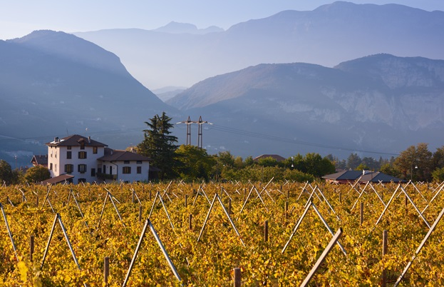 Trentino Wine Guide - Great Italian Chefs
