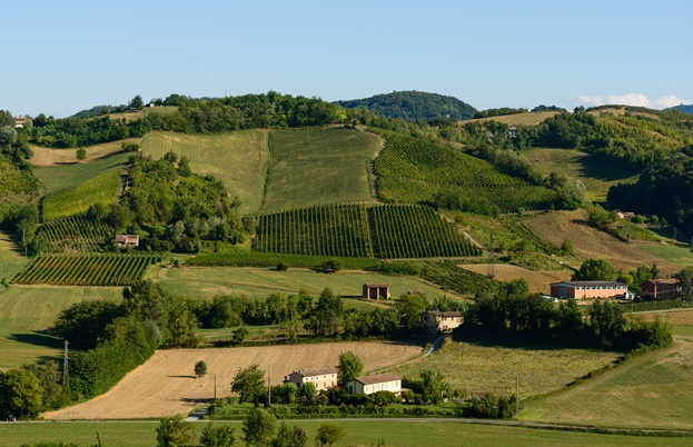 Emilia-Romagna Wine Guide - Great Italian Chefs