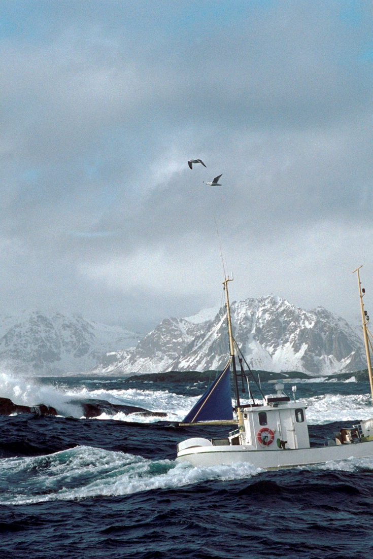 Norwegian Cod Fishing - Great British Chefs