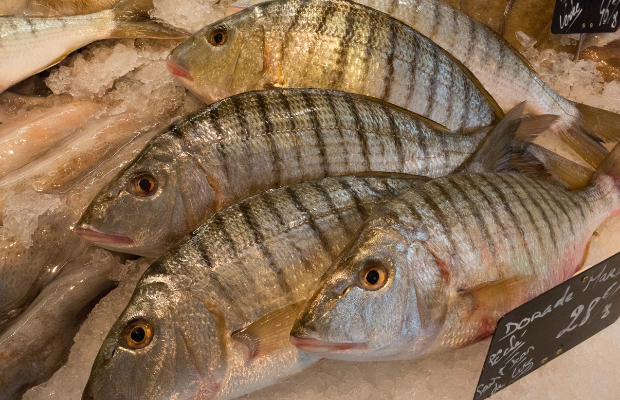 Terroirs d'Avenir and Bistrot De Luxe - Great British Chefs