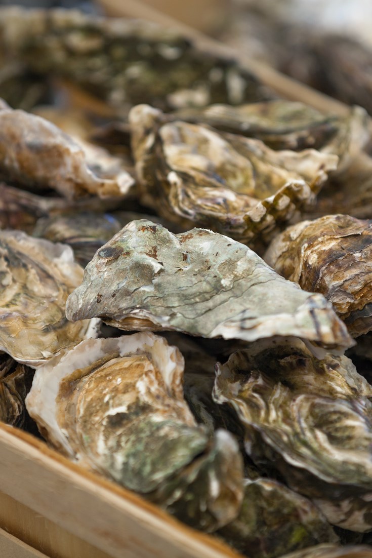 Canada’s Best Fish and Seafood - Great British Chefs