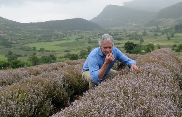 The Story of Fever-Tree Tonic Water - Great British Chefs