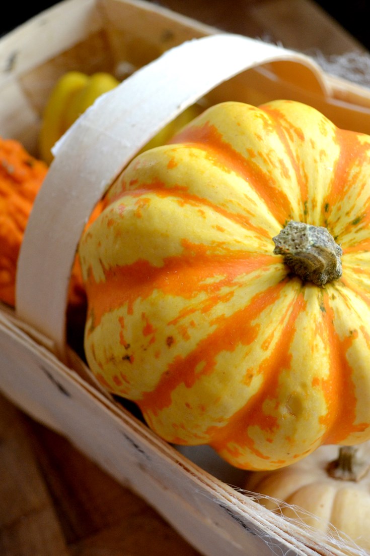 Squash Recipes - Great British Chefs