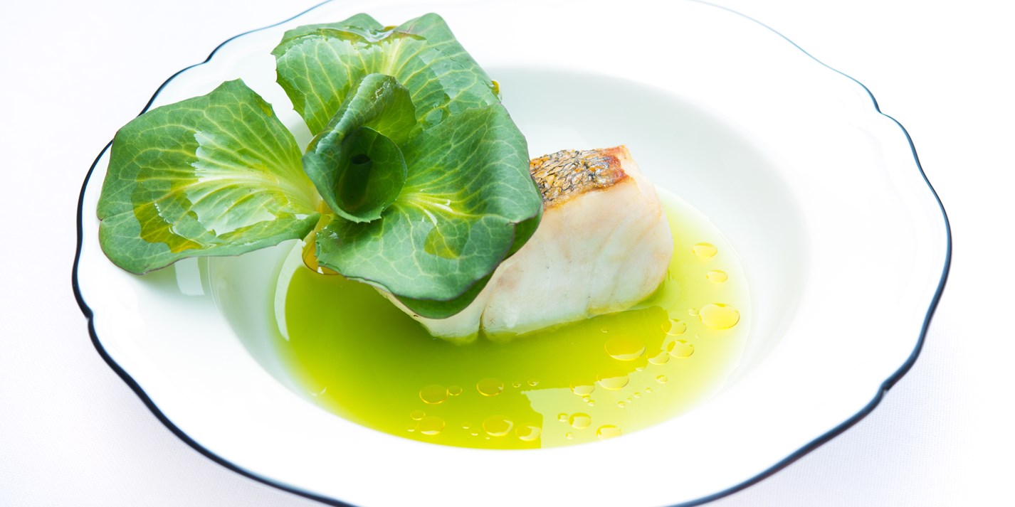 Pan-Fried Zander Recipe - Great Italian Chefs