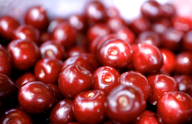 Picota del Jerte PDO Cherries - Great British Chefs