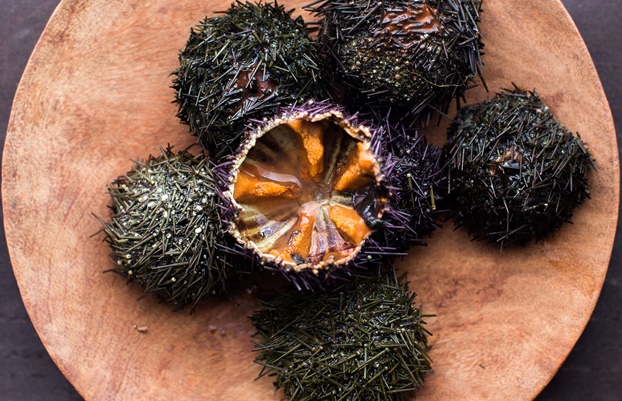 Sea Urchin fishing in Catalonia - Great British Chefs