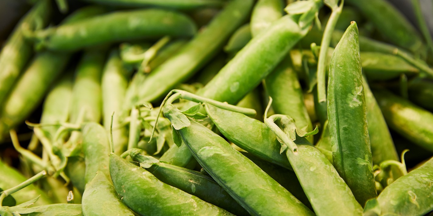 Pea Recipes: Pea Soup, Pea Chutney, Pea Purée - Great British Chefs