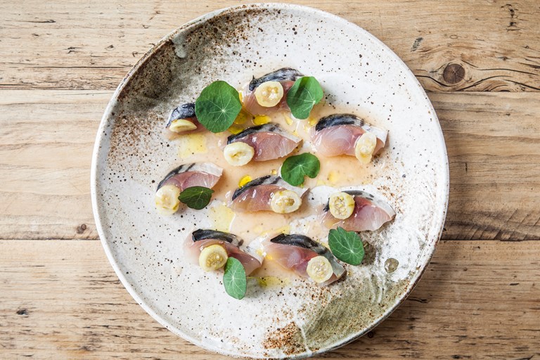 Cured Mackerel Recipe with Fermented Gooseberries - Great British Chefs