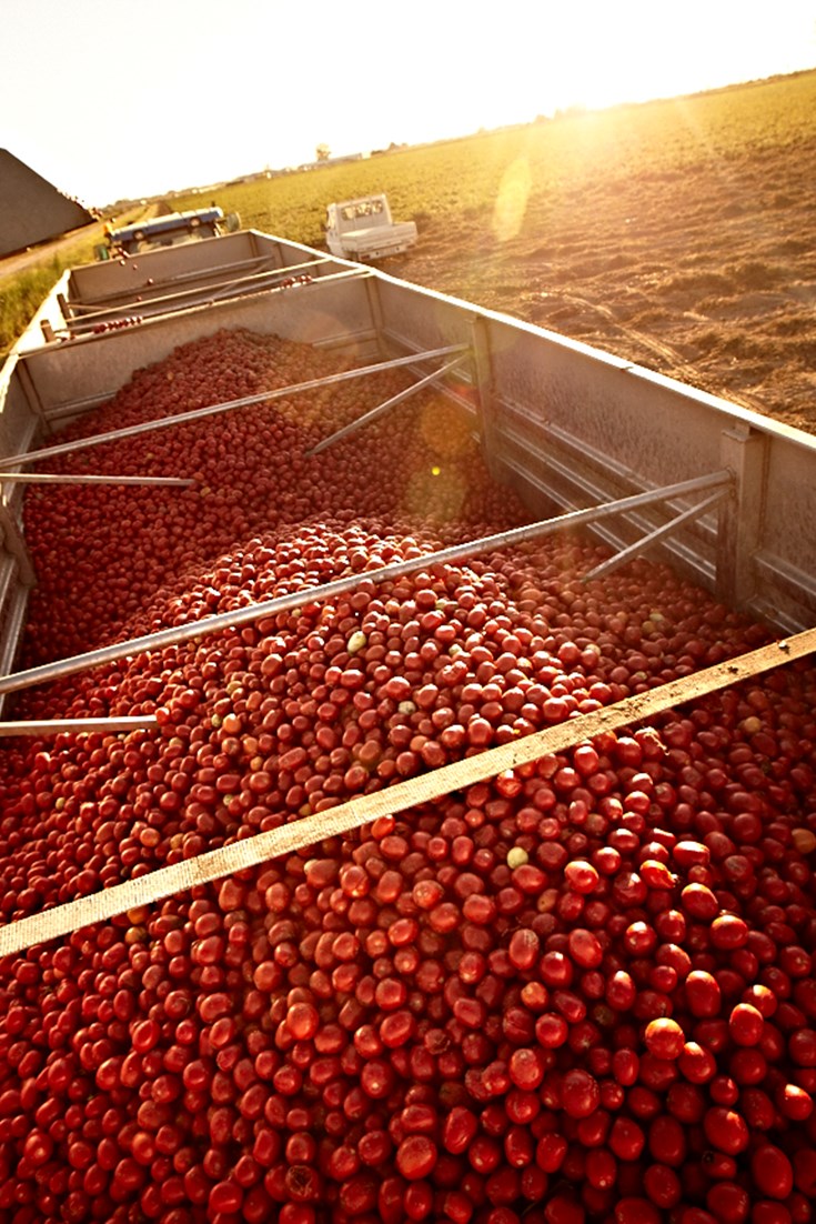 Cirio: Italy’s Favourite Tomatoes - Great British Chefs