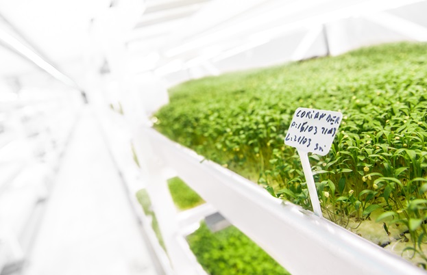 Growing Underground: Farming of the Future - Great British Chefs