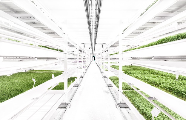Growing Underground: Farming of the Future - Great British Chefs