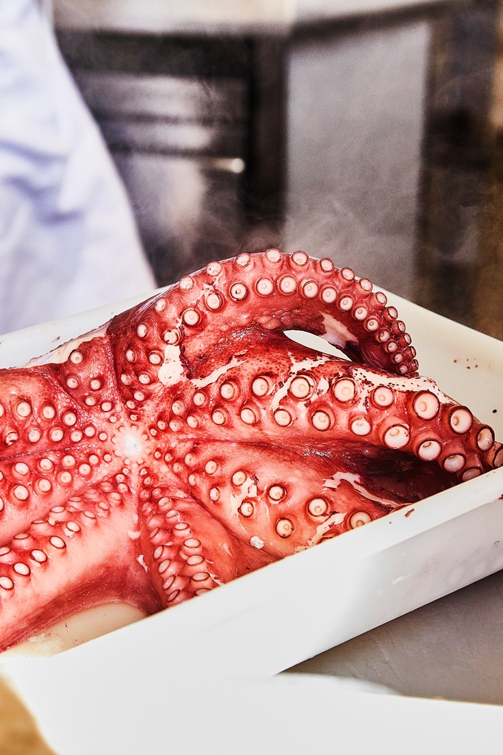 How To Cook Octopus - Great British Chefs