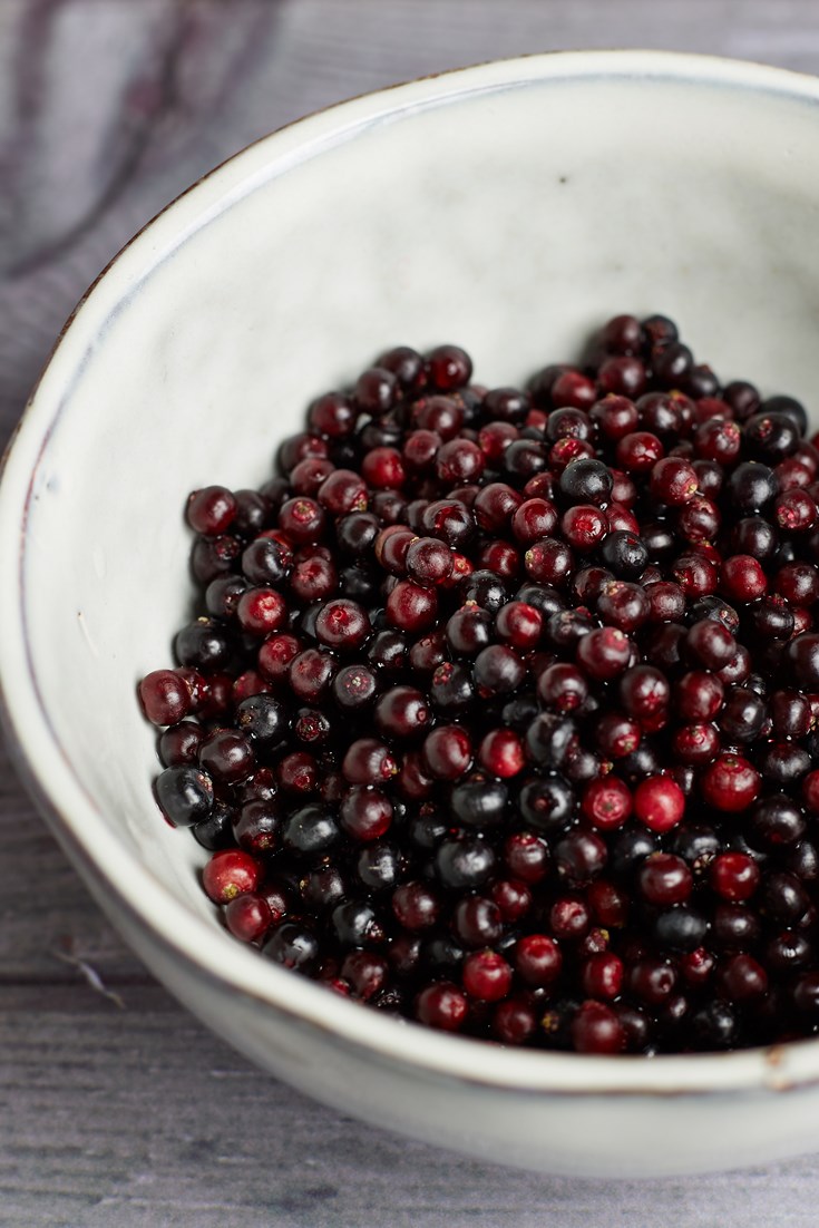 Elderberry Recipes - Great British Chefs