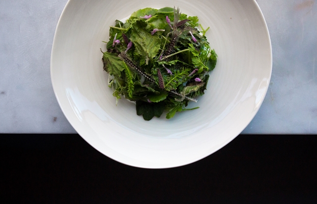 Ones to watch: Rob Roy Cameron - Great British Chefs