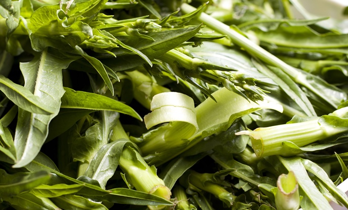 Puglia Food Guide - Great Italian Chefs