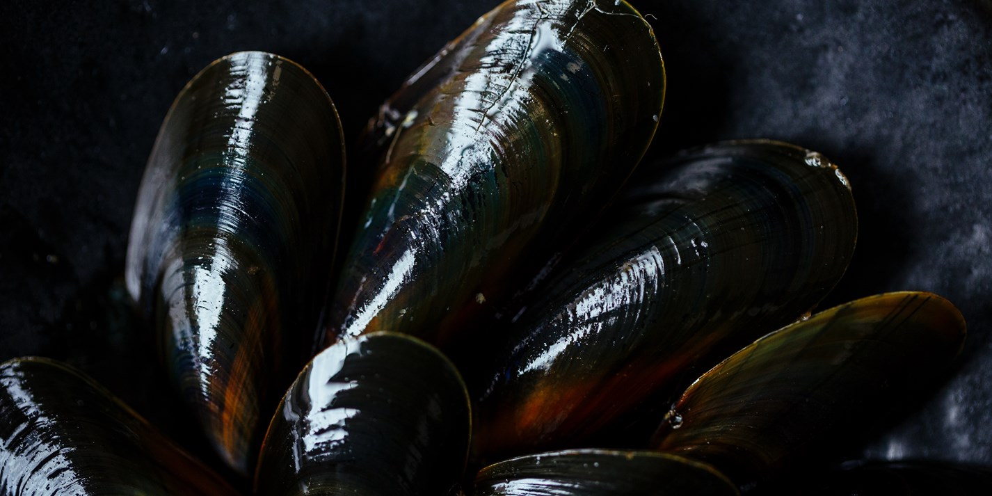 How to Cook Mussels - Great British Chefs