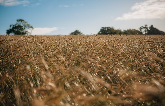Doves Farm: Flour The Way It’s Meant To Be - Great British Chefs