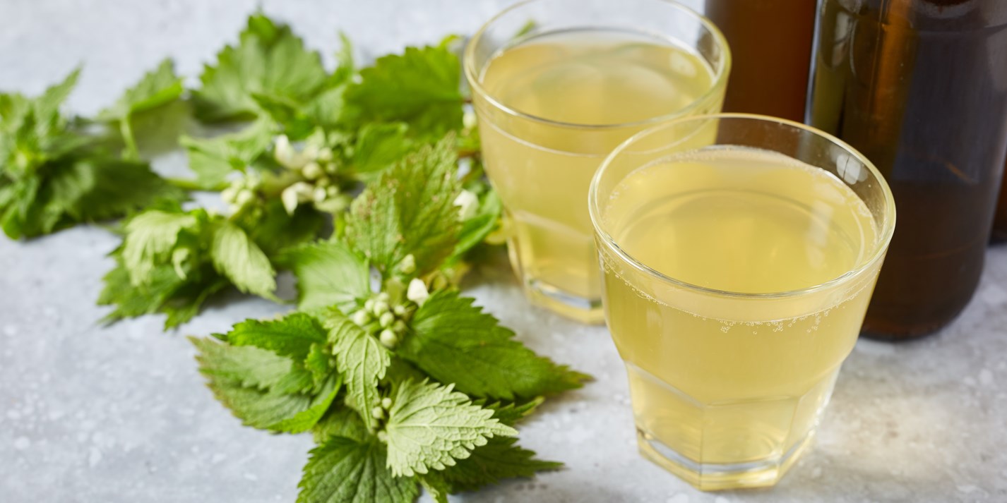 Nettle Beer Recipe - Great British Chefs