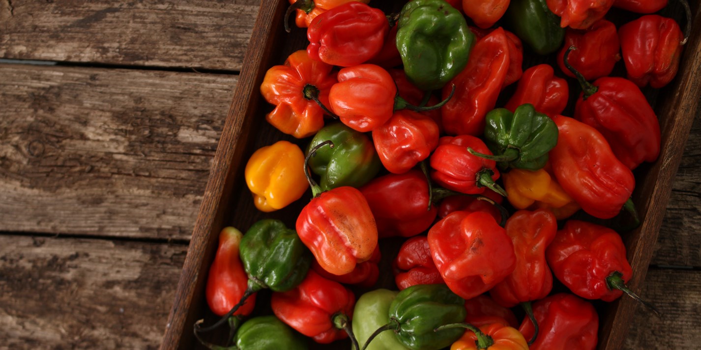 Scotch Bonnet Chilli Recipes - Great British Chefs